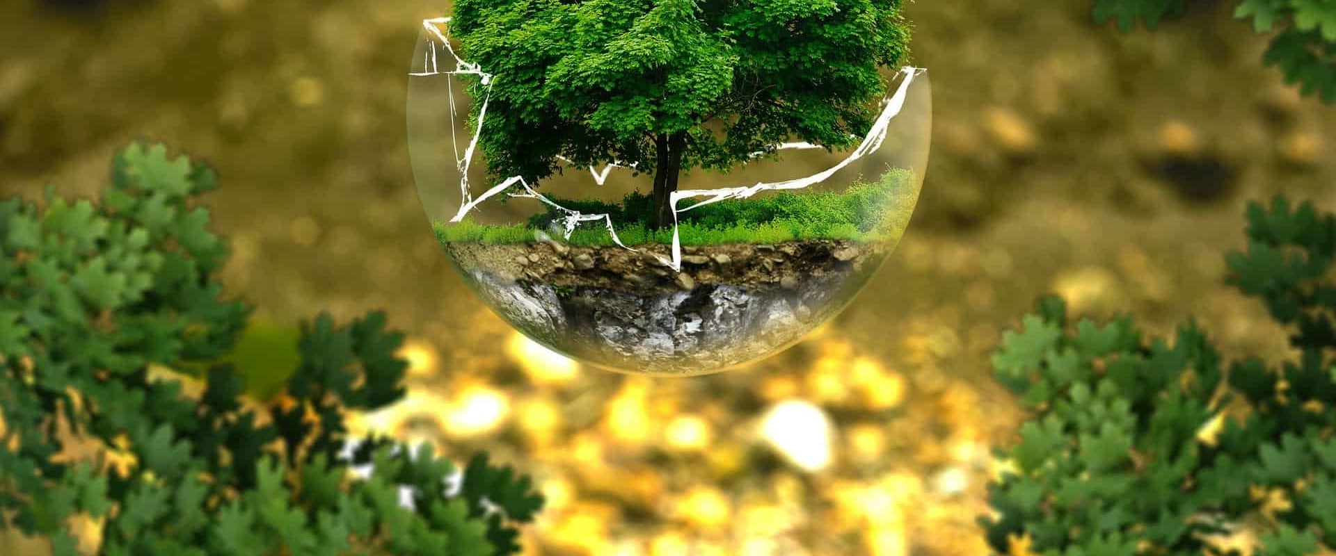 What are some examples of sustainable living?